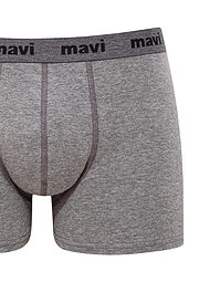Gri Basic Boxer - Mavi