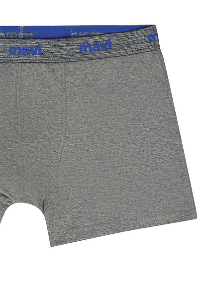 Gri Basic Boxer - Mavi